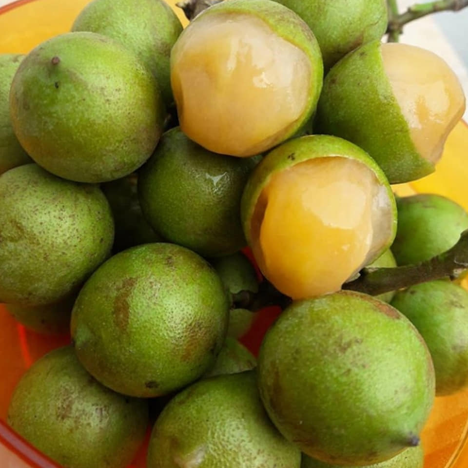 Fruta Huaya